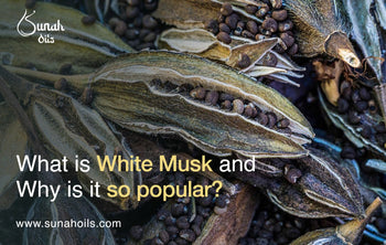 What Is White Musk? A Signature Scent Explained – Sunah Oils